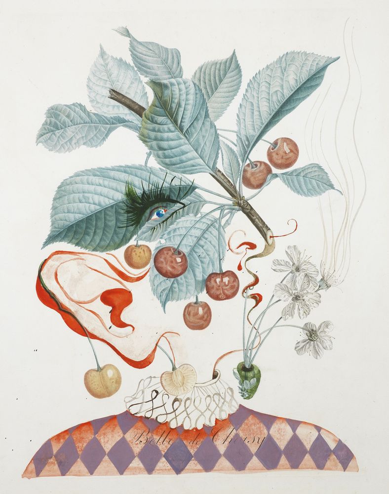 GALERIE FOTO Acuarele botanice rare, de Salvador Dali, vândute la ...